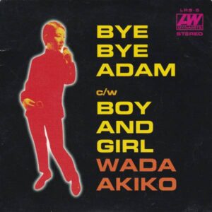 和田アキ子 AKIKO WADA / BYE BYE ADAM / BOY AND GIRL / 7" / | RECORD SHOP VIEW